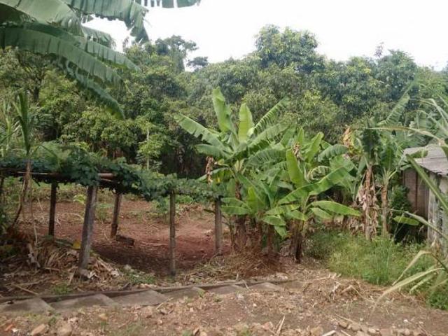Fazenda / Sítio para venda em Chácara Esperia de 280.00m² com 2 Quartos, 2 Suites e 6 Garagens