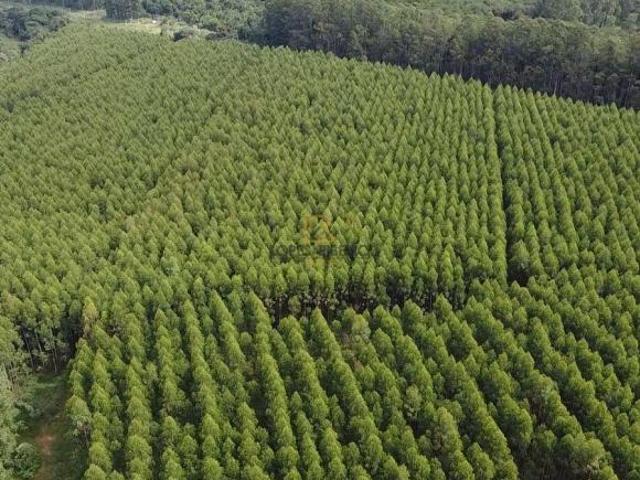 Fazenda / Sítio para venda em Alto de 525000.00m² com 3 Quartos e 3 Garagens