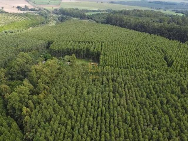 Fazenda / Sítio para venda em Alto de 525000.00m² com 3 Quartos e 3 Garagens