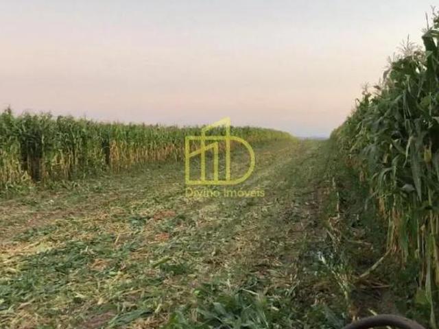 Fazenda / Sítio para venda em Alambari de 10.00m² com 3 Quartos