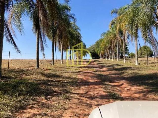 Fazenda / Sítio para venda em Alambari de 10.00m² com 3 Quartos