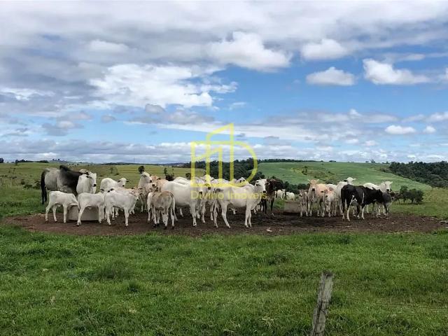 Fazenda / Sítio para venda em Alambari em Alambari São Paulo de 10.00m² com 3 Quartos
