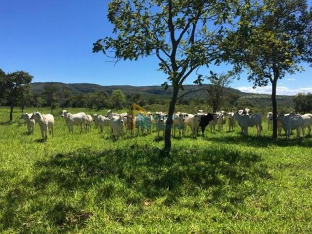 Fazenda / Sítio para venda em Area Rural de 4730000.00m² com 4 Quartos e 6 Garagens