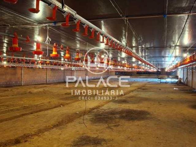 Fazenda / Sítio para venda em Área Rural de 54000.00m² com 4 Quartos, 1 Suite e 10 Garagens