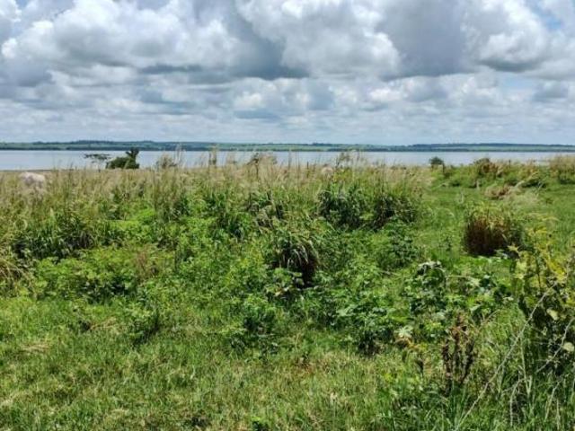 Fazenda / Sítio para venda em Área Rural De Araçatuba de 121000.00m² com 2 Quartos