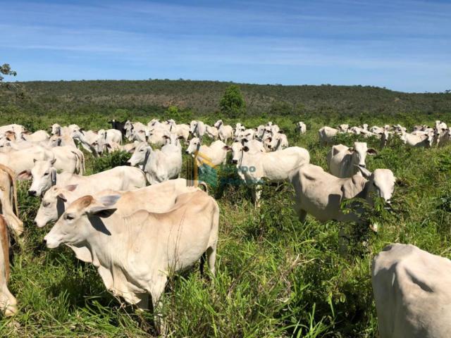 Fazenda / Sítio para venda em Area Rural em Lassance Minas Gerais de 4730000.00m² com 4 Quartos e 6 Garagens