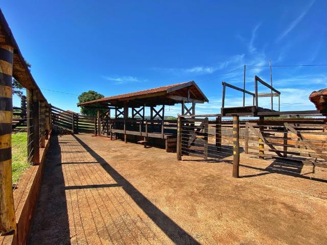 Fazenda / Sítio para venda em Brodowski em Brodowski São Paulo de 11.00m² com 3 Quartos