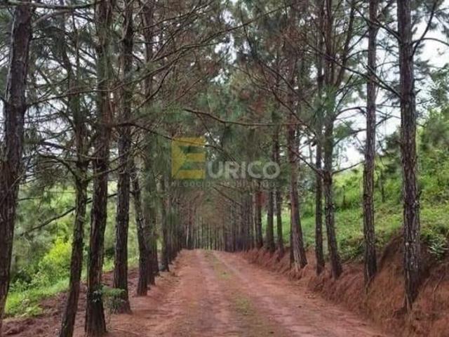 Fazenda / Sítio para venda em Fazenda das Colinas de 438000.00m² com 8 Quartos e 6 Suites