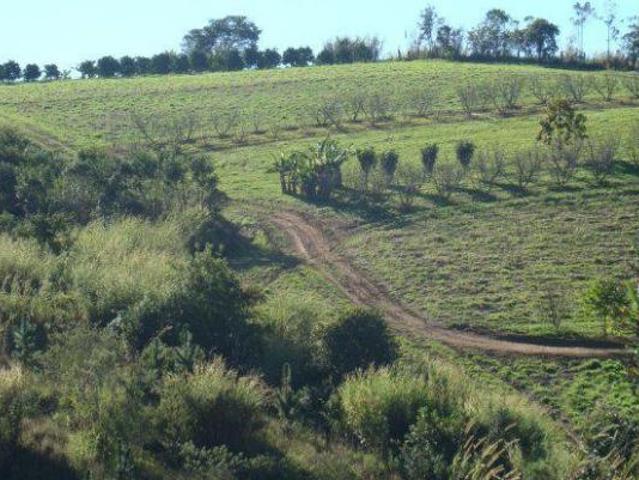 Fazenda / Sítio para venda em Fim Do Campo de 470.00m² com 5 Quartos, 1 Suite e 12 Garagens