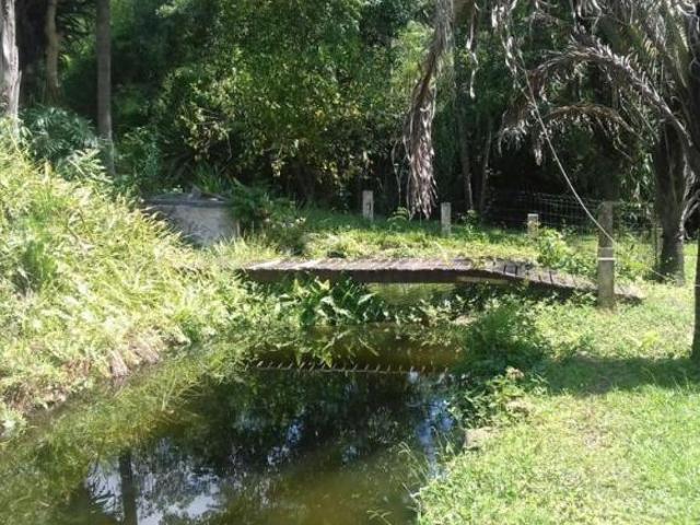 Fazenda / Sítio para venda em Jardim Das Colinas de 84700.00m² com 3 Quartos