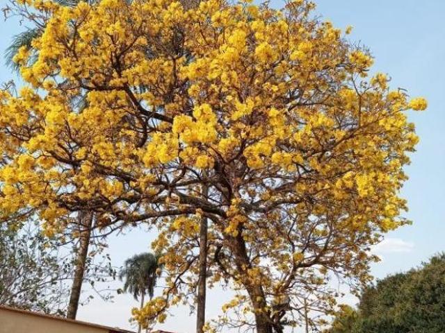Fazenda / Sítio para venda em Jardim Tangara de 1000.00m² com 3 Quartos e 20 Garagens