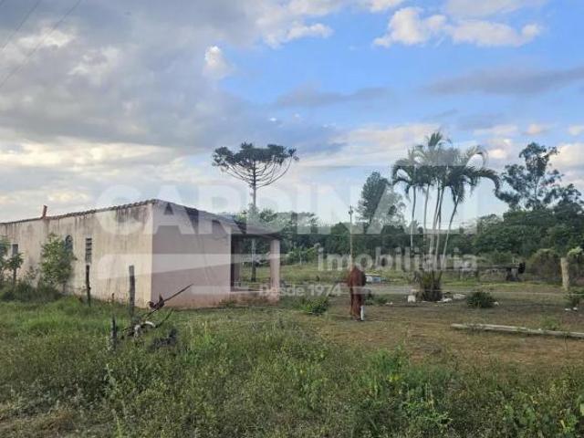 Fazenda / Sítio para venda em Loteamento Arace De Santo Antonio Ii de 24200.00m² com 2 Quartos
