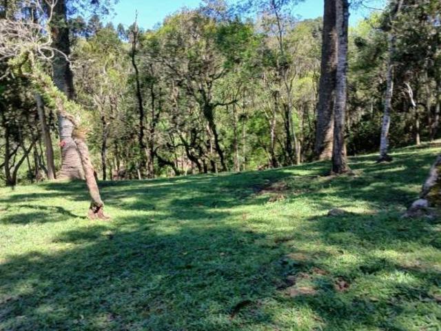 Fazenda / Sítio para venda em Mandirituba de 70.00m² com 2 Quartos e 2 Garagens