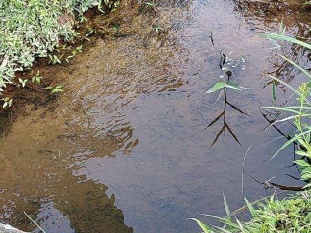 Fazenda / Sítio para venda em Miracatu de 100.00m² com 3 Quartos, 1 Suite e 3 Garagens