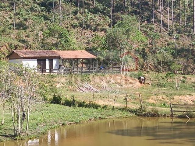 Fazenda / Sítio para venda em Natividade da Serra de 314600.00m² com 8 Quartos e 3 Garagens