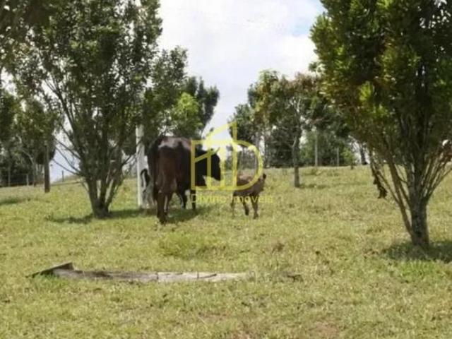 Fazenda / Sítio para venda em Sarapui De Cima de 10.00m² com 2 Quartos e 10 Garagens