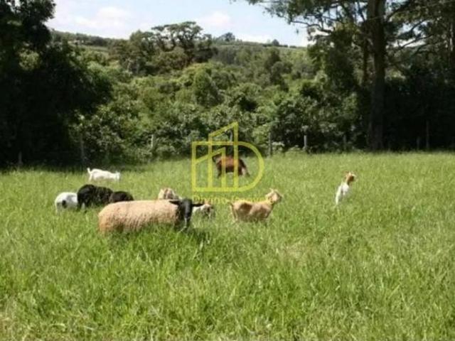 Fazenda / Sítio para venda em Sarapui De Cima de 10.00m² com 2 Quartos e 10 Garagens