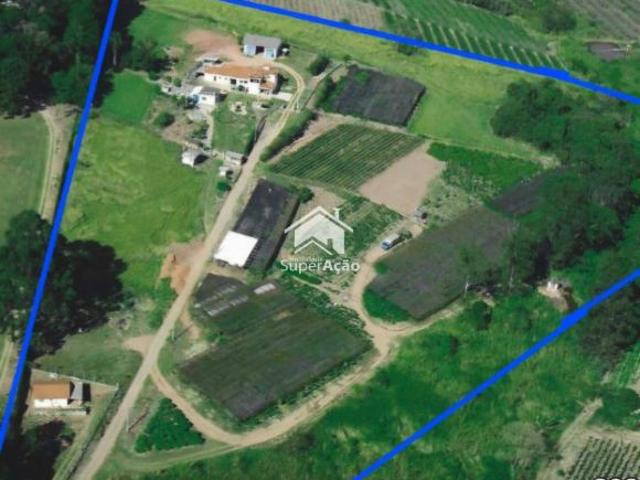 Fazenda / Sítio para venda em Ponte Alta de 61223.00m² com 4 Quartos