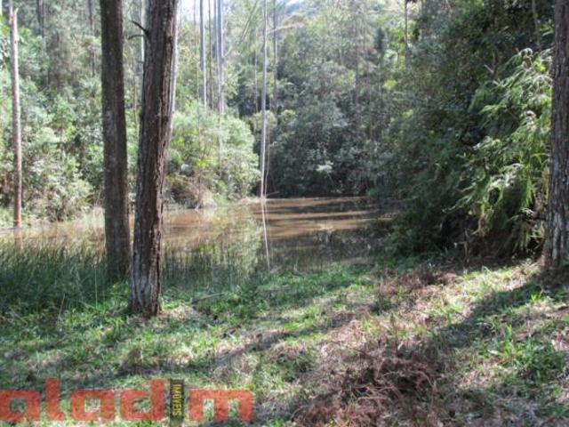 Fazenda / Sítio para venda em Parelheiros de 41800.00m² com 3 Quartos, 2 Suites e 30 Garagens