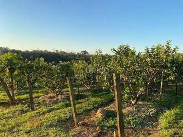 Fazenda / Sítio para venda em REFORMA AGRÁRIA de 0.01m² com 4 Quartos, 1 Suite e 10 Garagens