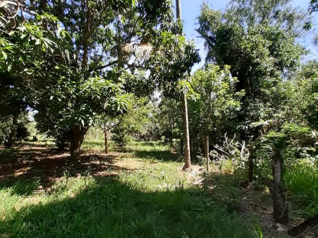 Fazenda / Sítio para venda em Ribeirão Bonito de 85400.00m² com 3 Quartos