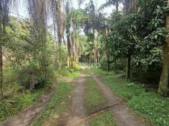 Fazenda / Sítio para venda em RIO ACIMA de 145000.00m² com 3 Quartos, 2 Suites e 4 Garagens