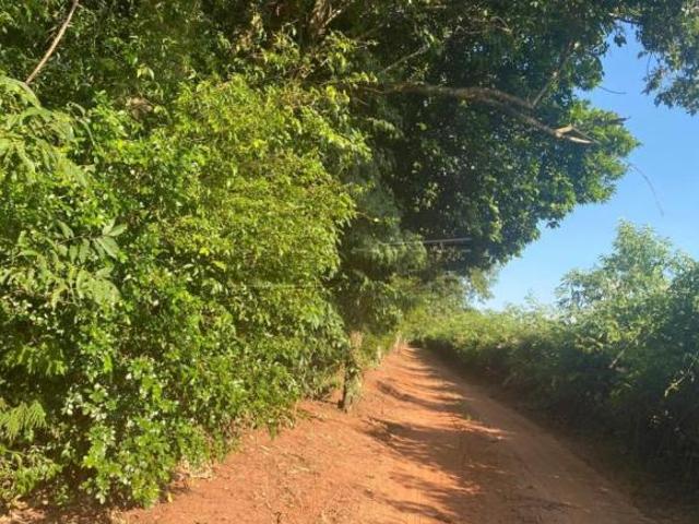 Fazenda / Sítio para venda em Rural de 500.00m² com 6 Quartos e 6 Suites