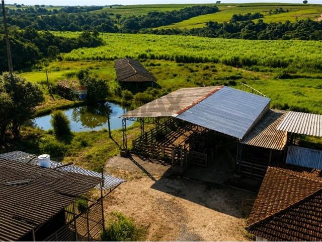 Fazenda / Sítio para venda em Rural em Cajuru São Paulo de 200000.00m² com 6 Quartos