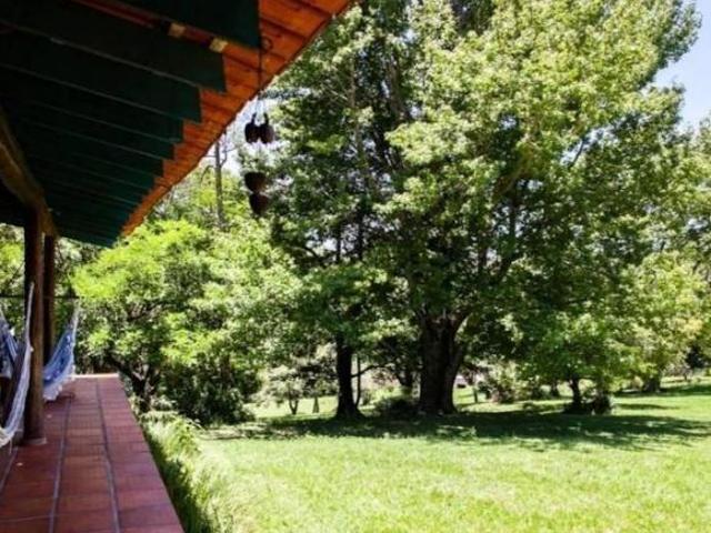 Fazenda / Sítio para venda em Volta Grande são João Novo de 300.00m² com 6 Quartos