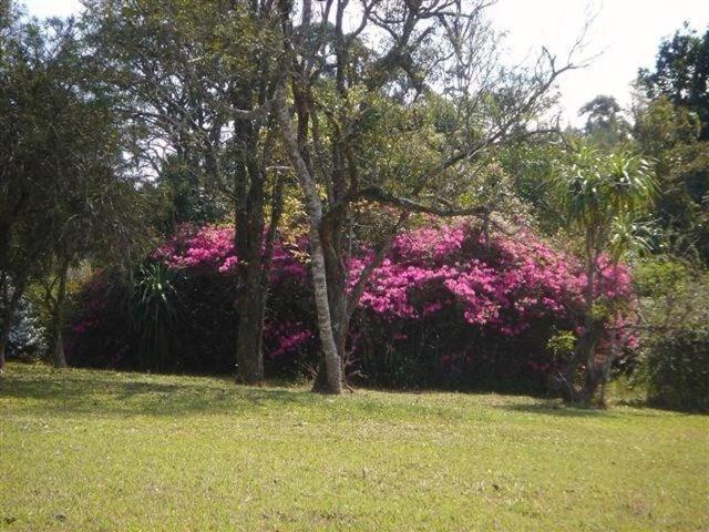 Fazenda / Sítio para venda em Volta Grande são João Novo em São Roque São Paulo de 300.00m² com 6 Quartos