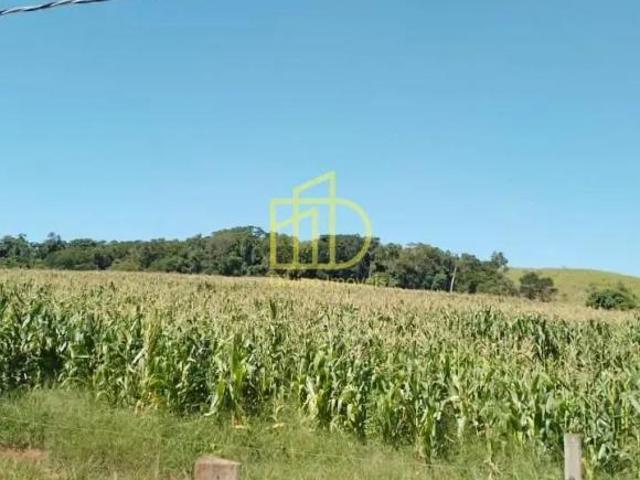 Fazenda / Sítio para venda em Vila Sao Jose de 150.00m² com 3 Quartos