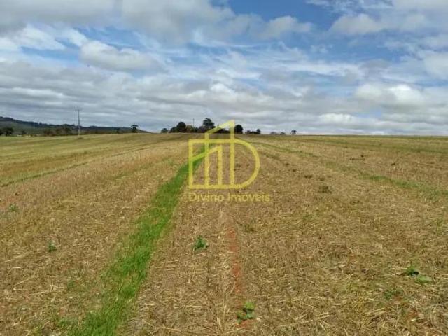 Fazenda / Sítio para venda em Zona Rural de 10.00m² com 4 Quartos e 2 Suites
