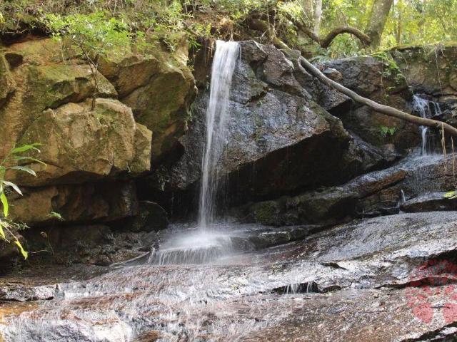 Fazenda / Sítio para venda em Zona Rural em Bueno Brandão Minas Gerais de 79.00m² com 1 Quarto