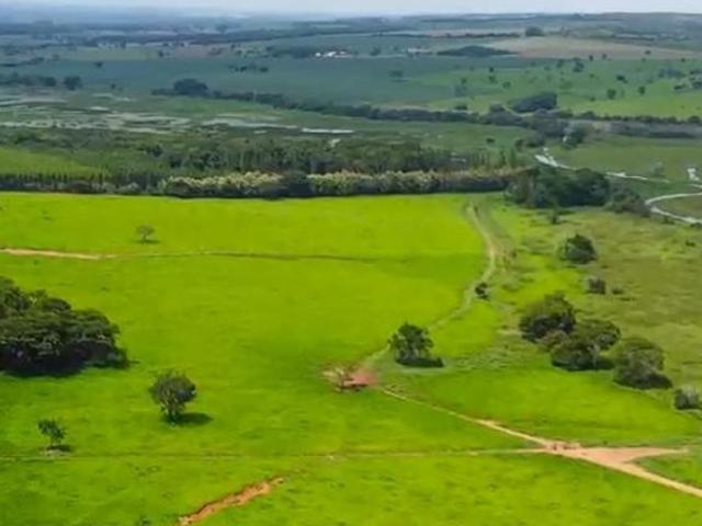 Fazenda / Sítios / Chácaras à venda em Martinho Campos, no bairro Zona Rural