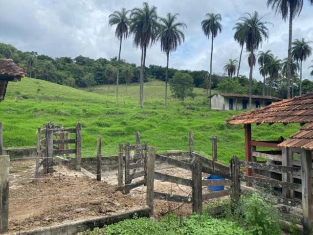 Fazenda / Sítios / Chácaras à venda em Mateus Leme, no bairro Sitio Novo