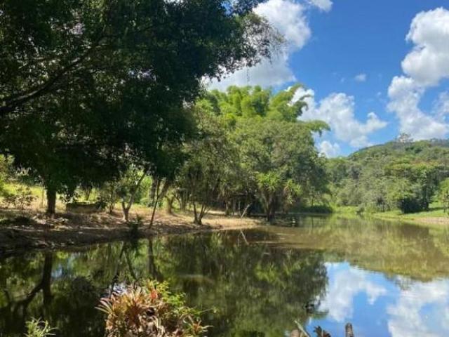 Fazenda / Sítios / Chácaras à venda em Mateus Leme, no bairro Sítio Novo