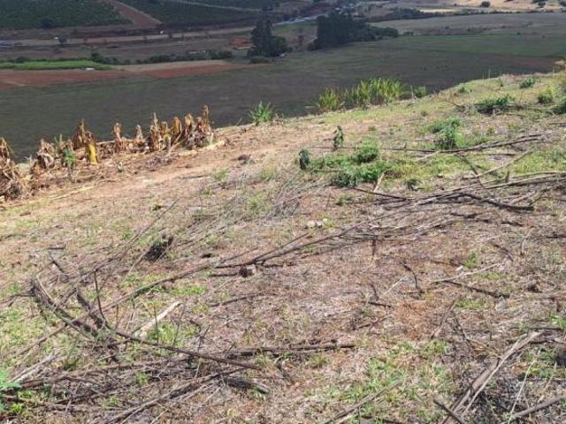 Fazenda / Sítios / Chácaras à venda em Monsenhor Paulo, no bairro Zona Rural
