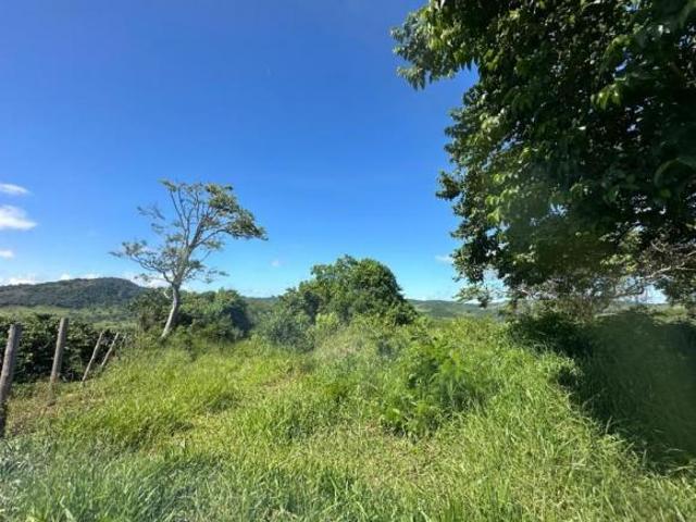 Fazenda / Sítios / Chácaras à venda em Nepomuceno, no bairro Centro