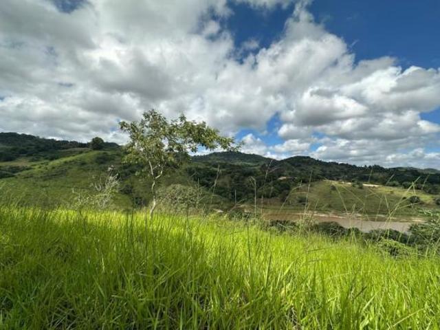 Fazenda / Sítios / Chácaras à venda em Nepomuceno, no bairro Serra Do Pedrão