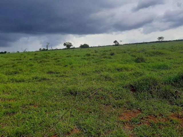 Fazenda / Sítios / Chácaras à venda em Nepomuceno, no bairro Zona Rural