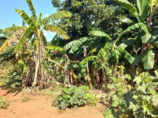 Fazenda / Sítios / Chácaras à venda em Nepomuceno, no bairro Zona Rural