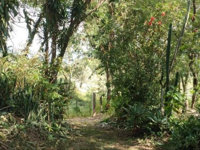 Fazenda / Sítios / Chácaras à venda em Nepomuceno, no bairro Zona Rural