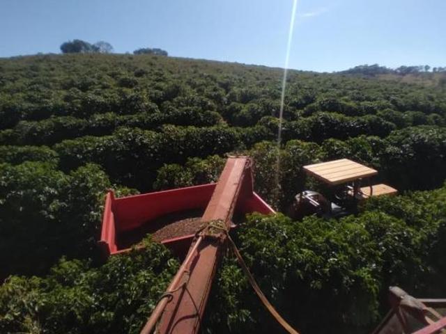 Fazenda / Sítios / Chácaras à venda em Nepomuceno, no bairro Zona Rural 1