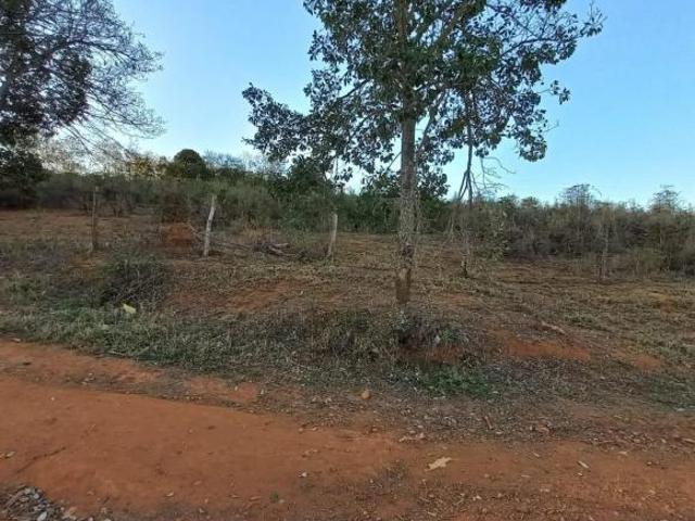 Fazenda / Sítios / Chácaras à venda em Nepomuceno, no bairro Zona Rural
