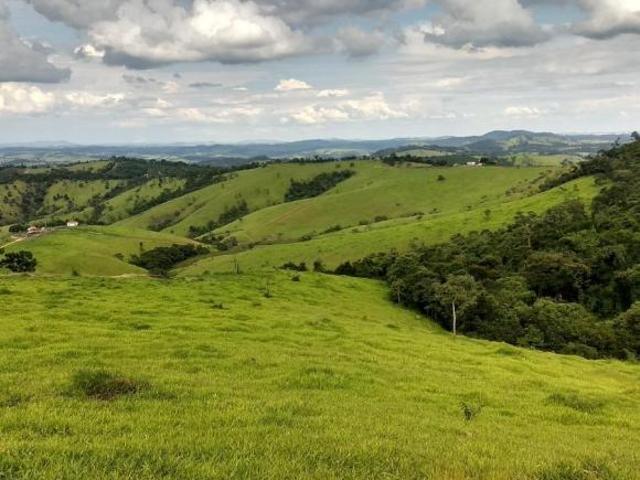Fazenda / Sítios / Chácaras à venda em Nepomuceno, no bairro Zona Rural