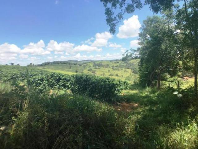 Fazenda / Sítios / Chácaras à venda em Nepomuceno, no bairro Zona Rural