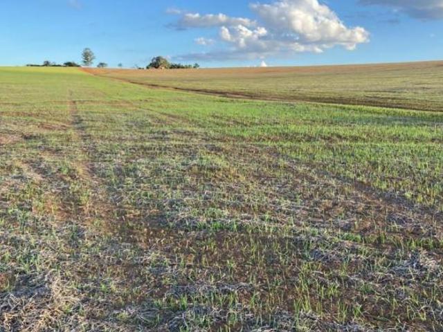 Fazenda / Sítios / Chácaras à venda em Oliveira, no bairro Zona Rural 1