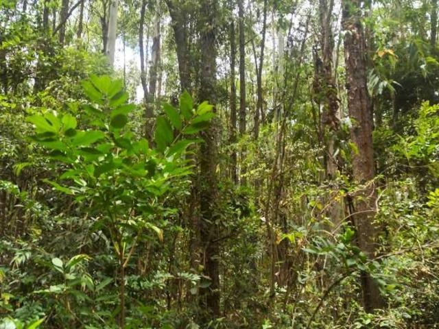 Fazenda / Sítios / Chácaras à venda em Oliveira, no bairro Morro Dos Ferros