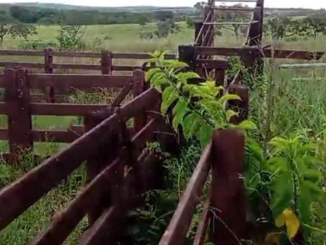 Fazenda / Sítios / Chácaras à venda em Abaeté, no bairro Zona Rural