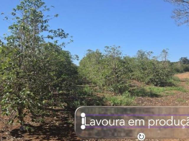Fazenda / Sítios / Chácaras à venda em Alfenas, no bairro Área Rural De Alfenas